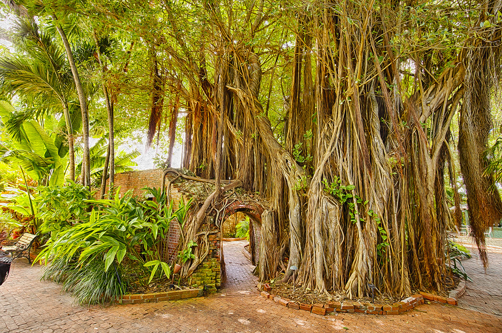 Get Your Key West Vitamin D Dose And Play Outside - Lite Wallet Traveler