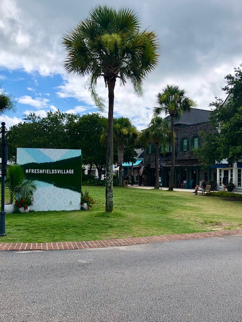 Nature Rules In Exotic Kiawah Island - Lite Wallet Traveler